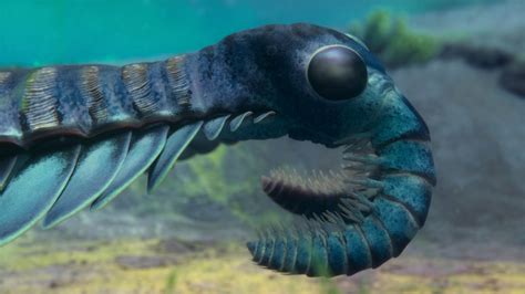 Chapter The First Frontier Life On Our Planet X Tvmaze