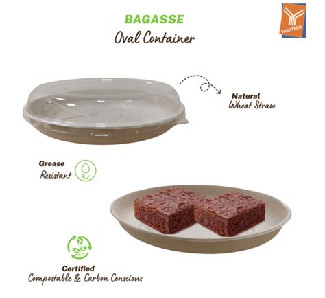 Bagasse Tableware Yashtech
