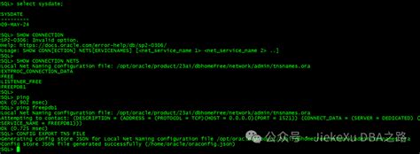Oracle 23ai Free 版本地化安装指南 Csdn博客