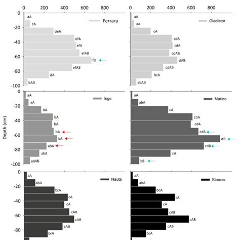 Root Depth Distribution Of Sugar Beet Varieties Lowercase Letters Show