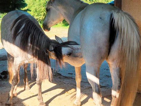 Une Relation Mère Fille Très Particulière Ekireina