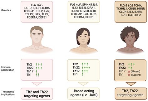 Jcm Free Full Text Overview Of Atopic Dermatitis In Different Ethnic Groups