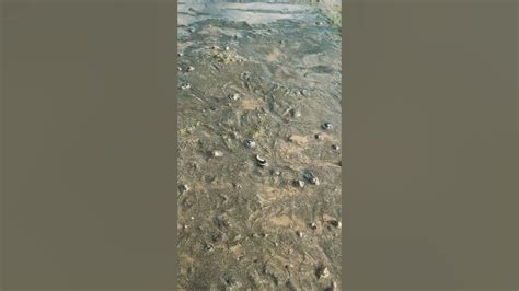 Shell Na Batad Youtube