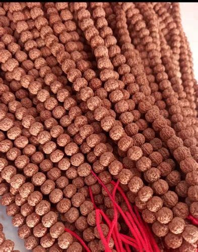 Brown Pathri Rudraksh Mala 25 30 Gm Shape Round At ₹ 3500piece In