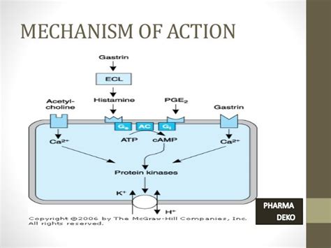 Peptic Ulcer Its Management And Omeprazole