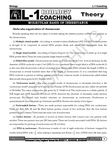 Molecular Basis Of Inheritance Theory Pdf Dominance Genetics Gene