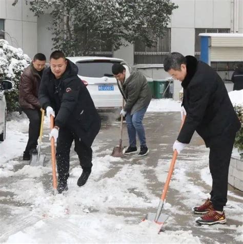 瑞雪不嫌春色晚 一展芳华迎新年开封中院干警和工勤人员自发清扫积雪保障安全出行 审核 刘亚萍 积雪