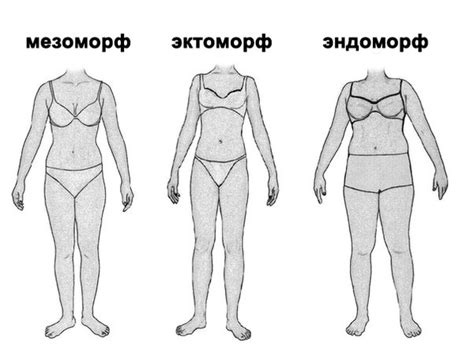 Вот как определить тип телосложения эктоморф мезоморф и эндоморф у женщины Ответы Mail