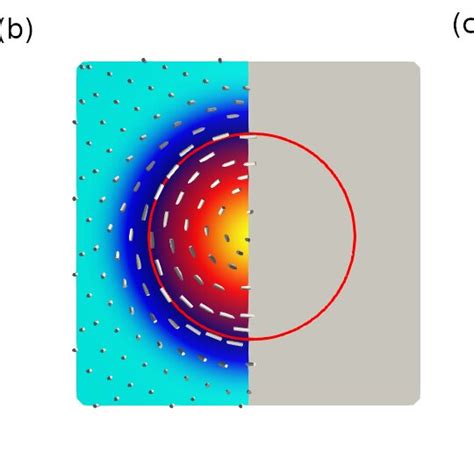 Illustrations Of Convex Surfaces Their Dividing Curves And The Download Scientific Diagram