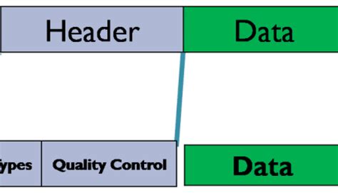 Data Link Layer Quiz Questions Archives NetworkUstad