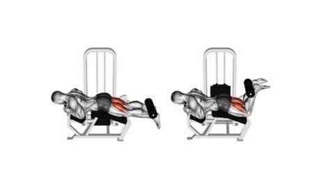 Let Your Back Legs On Fire With Leg Curl Movement Fitness Magazine