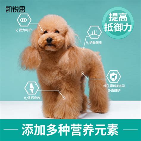 凯锐思狗狗营养膏幼犬成犬泰迪通用增肥调理肠胃增强免疫力120g 虎窝淘