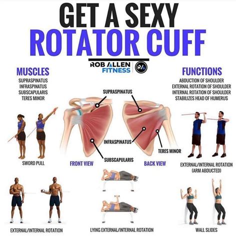 External Rotation Shoulder Muscles