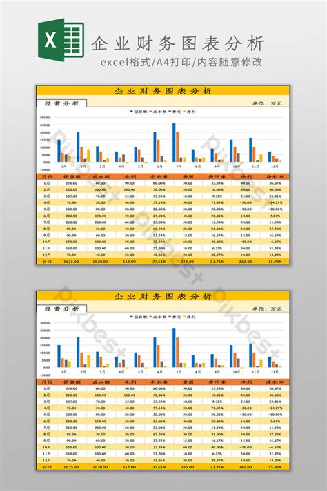 기업 재무 차트 분석 엑셀 템플릿 엑셀 템플릿 Xls 무료 다운로드 Pikbest