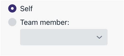 Value Of A Custom Radiobuttongroup Vaadin Forum