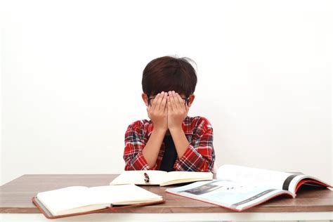 17 work completion accommodations preferred and non preferred tasks