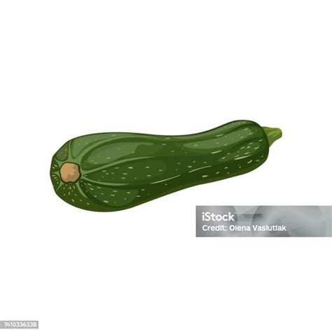 전체 호박 야채 농장 신선한 야채 흰색 배경에 고립된 벡터 일러스트레이션입니다 0명에 대한 스톡 벡터 아트 및 기타 이미지 0명 농업 농장 Istock