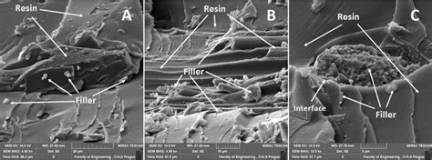 Sem Micrographs Static Tensile Test Of Composite Materials A Download Scientific Diagram