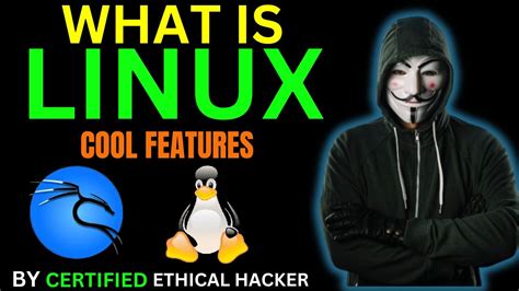 What Is Kali Linux Ethical Hacking Tutorial All Basic Linux Commands
