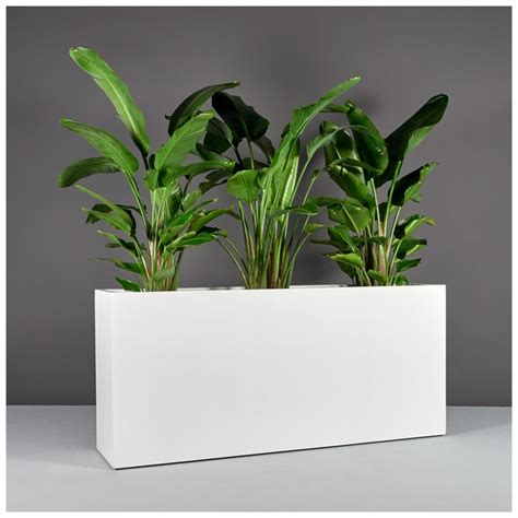Fiberglass Rectangular Planters And Pots Large And Tall Retail Display