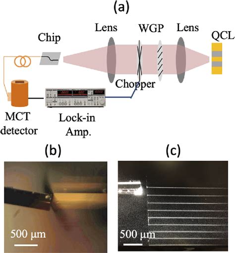 A Schematic Plot For Testing Setup And B C Images Indicates The Download Scientific