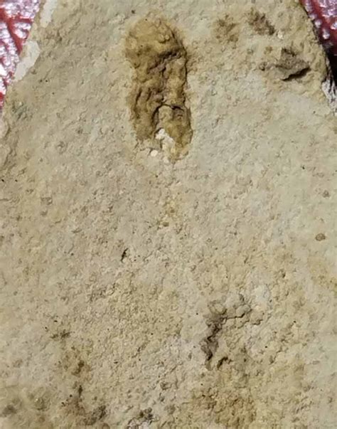 พระผงกรุวัดเงินคลองเตย พิมพ์ซุ้มกอฐานสูง แขนหักศอก Kumpha พระเครื่อง พระแท้ Webpra เว็บ พระ คอม