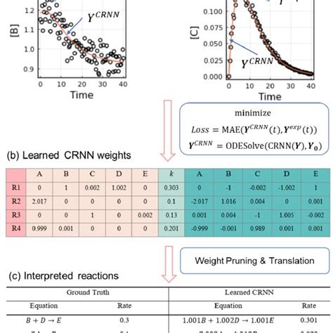 Schematic Of The Chemical Reaction Neural Network Illustrated For A Download Scientific Diagram