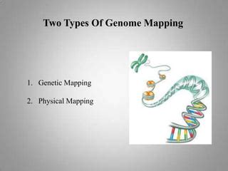 Genome Mapping PPTX