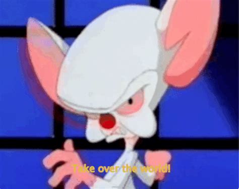 Pinky And The Brain Take Over 