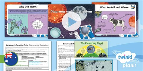 Year Space The King Of Space Information Texts Lesson