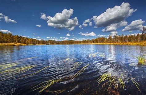 The Connection Between Physical Fitness And Cognitive Abilities Can Exercise Make You Smarter