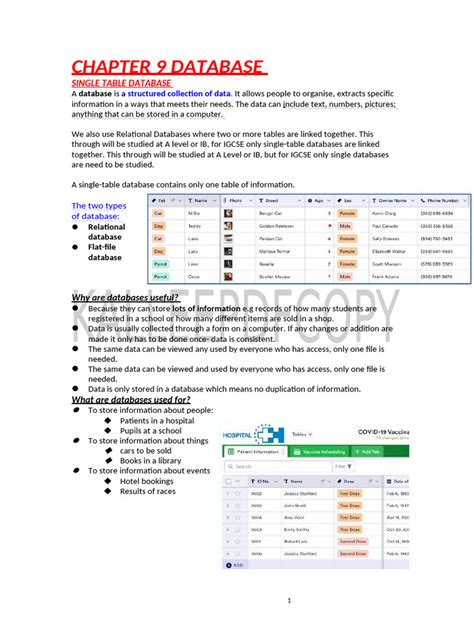 Grade 11 Chapter 9 Computer Science Pdf Databases Table Database