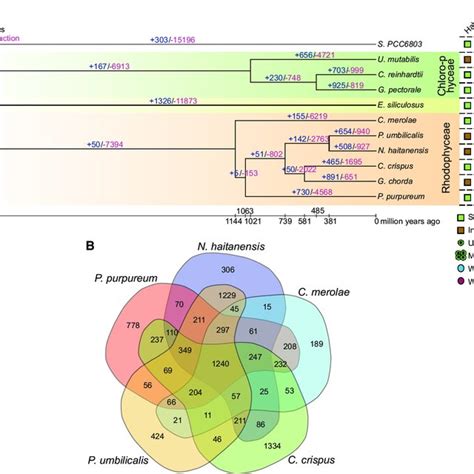 Comparative Genomics Analysis A Comparative Evolutionary Histories Download Scientific
