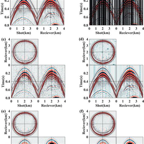 A Fifth Shot Gather Of The 3d Synthetic Prestack Data B Decimated Download Scientific