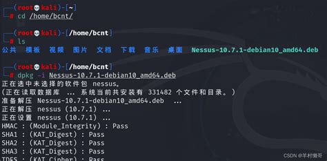 Kali Linux Nessus详细安装步骤！！！kali安装nessus Csdn博客