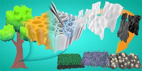 来自天然木支架的多功能 2d 纤维素平台策略 Acs Nano X Mol