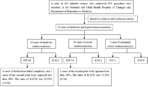 Figure 1 From Role Of Sperm Morphological Parameters In The Selection