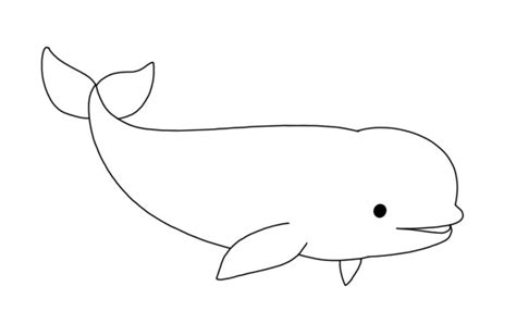 귀여운 얼굴의 흰 고래 벨루가 캐릭터 그리기 네이버 블로그