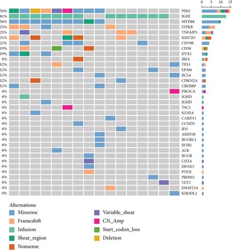 The Oncoprint Heat Map Indicates Mutational Spectrum Of 35 Oncogenes Download Scientific