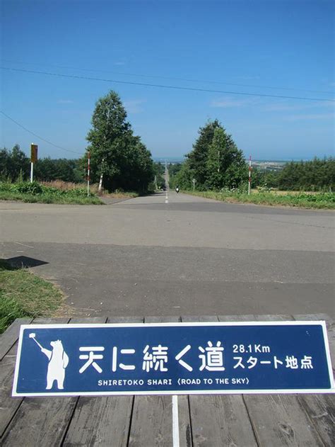 天に続く道 北海道 おすすめの人気観光お出かけスポット Yahoo トラベル