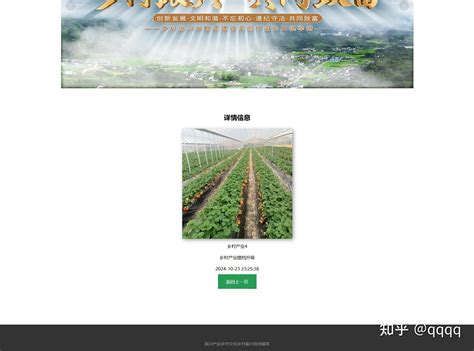 Vue3做的项目，vue3网站，vue3页面 知乎
