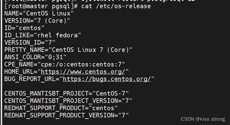 centos 安装pg教程 centos 安装pg数据库 CSDN博客