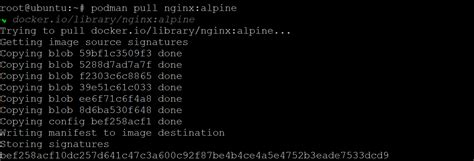 How To Install And Use Podman Docker Alternative