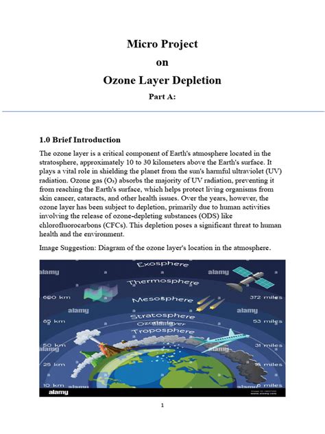 Micro Project Removed Pdf Ozone Depletion Atmosphere