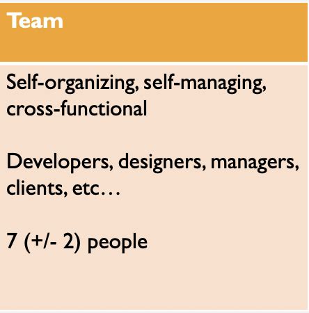 COSC 310 Lecture 4 Flashcards Quizlet