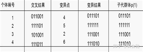 遗传算法详解遗传算法选择算子 Csdn博客 遗传算法详解遗传算法选择算子 Csdn博客