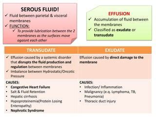 Serous Drainage