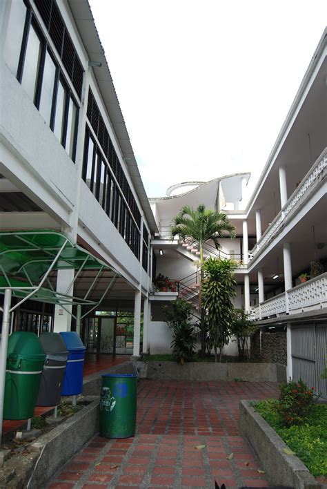 Medida Exacta De Agua Mejora Producción Del Cilantro