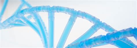 Custom Single Use Assemblies Custom Single Use Assemblies