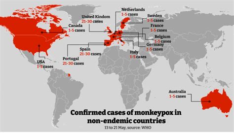 Where Are Monkeypox Cases Around The World Map Of Infections And How Many Cases Are In Each Country